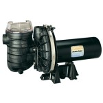 Sta-Rite Inground Swimming Pool Pump Buyers Guide