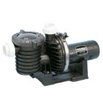 Sta-Rite Inground Swimming Pool Pump Buyers Guide